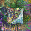 Enchanted Veil – Dina’s Art